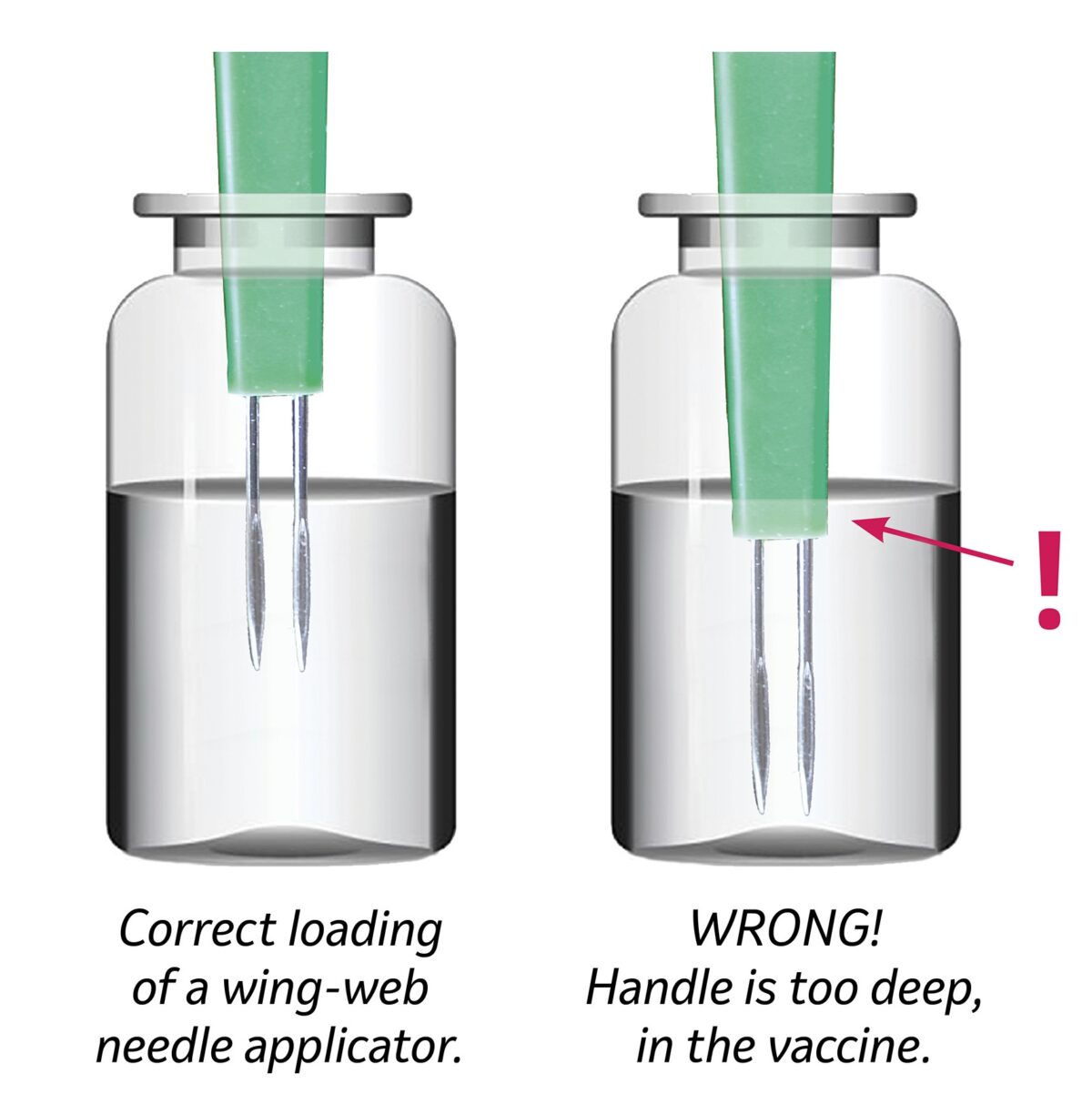 10 steps for successful fowl cholera vaccination - Modern Poultry