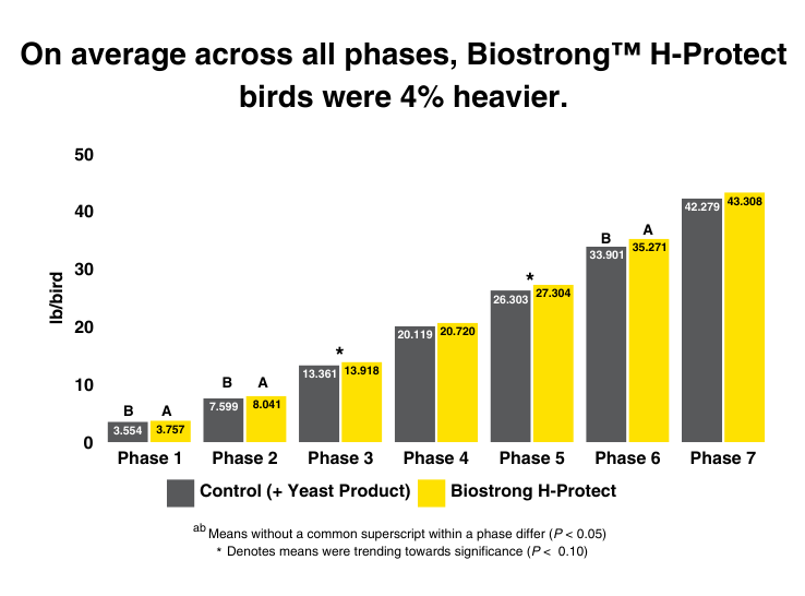 Cargill’s Biostrong™ H-Protect supports turkey performance, helps ...